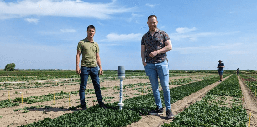 FieldMate for better water management Rijk Zwaan